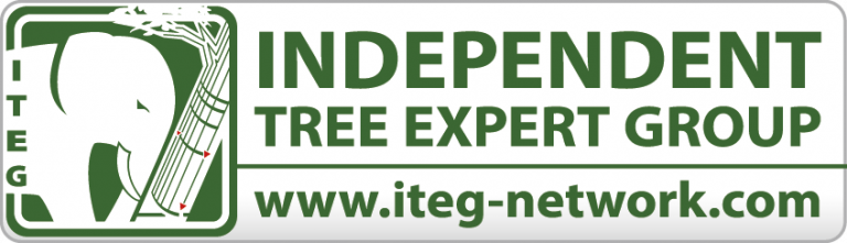 Sachverständigenwesen ITEG – BAHÖ